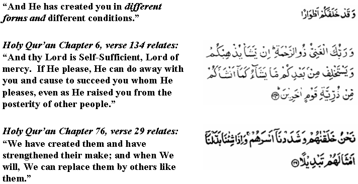 Evolution - Understanding Islam