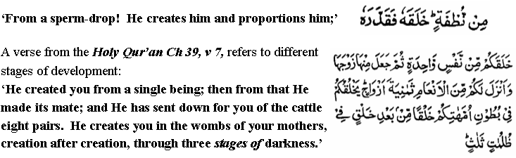 Human Embryology in the Holy Quran - Understanding Islam